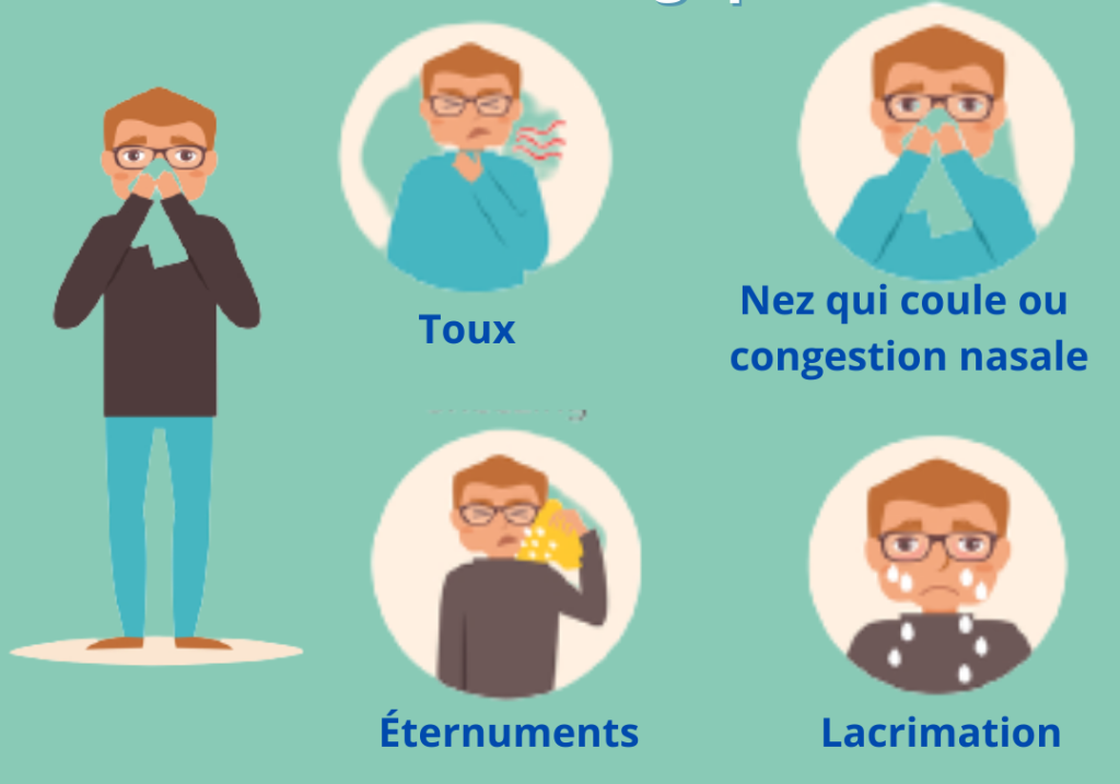 6 remèdes maison utiles pour traiter la rhinite allergique naturellement